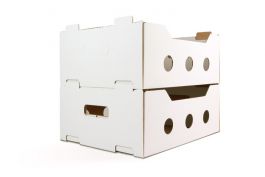 Obst- und Gemüsesteigen, Obststeigen